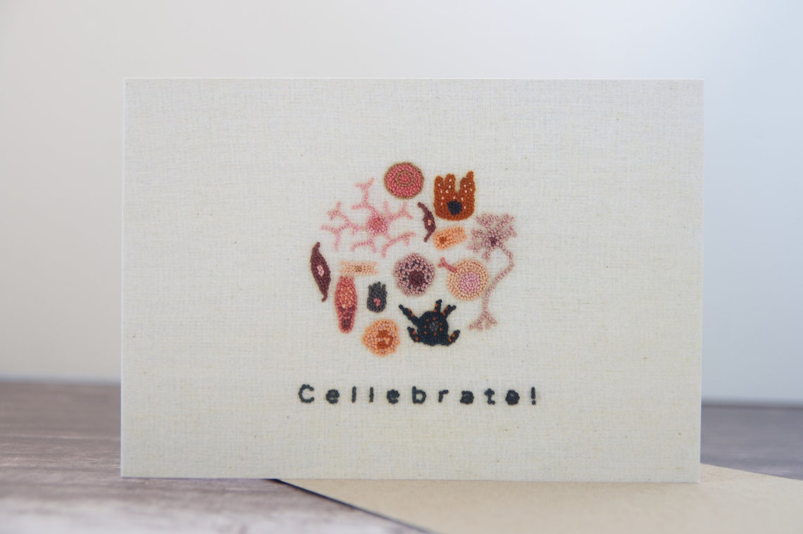 Cellebrate Science Congratulations Greeting Cards Single - Etsy UK