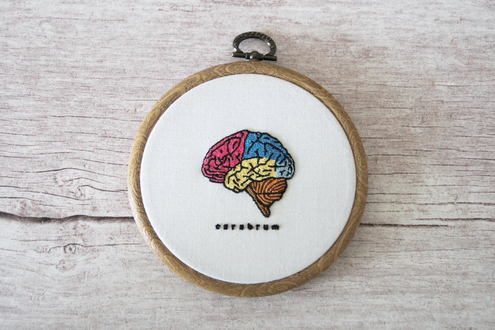 Brain Anatomy DIY Scientific Hand Embroidery Kit | Etsy