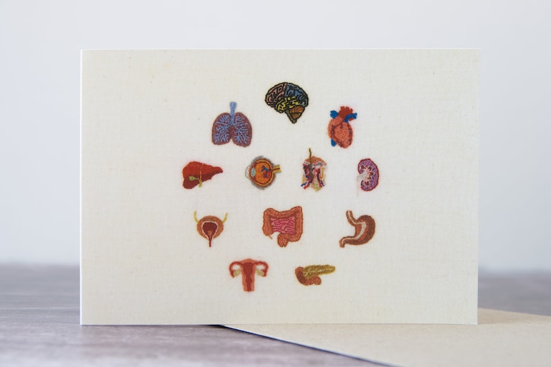 Human Anatomy Organs Greeting Card Single - Etsy