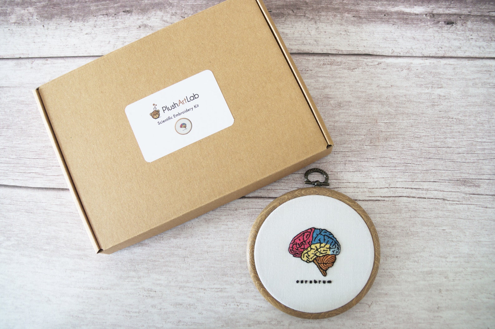 Brain Anatomy DIY Scientific Hand Embroidery Kit | Etsy