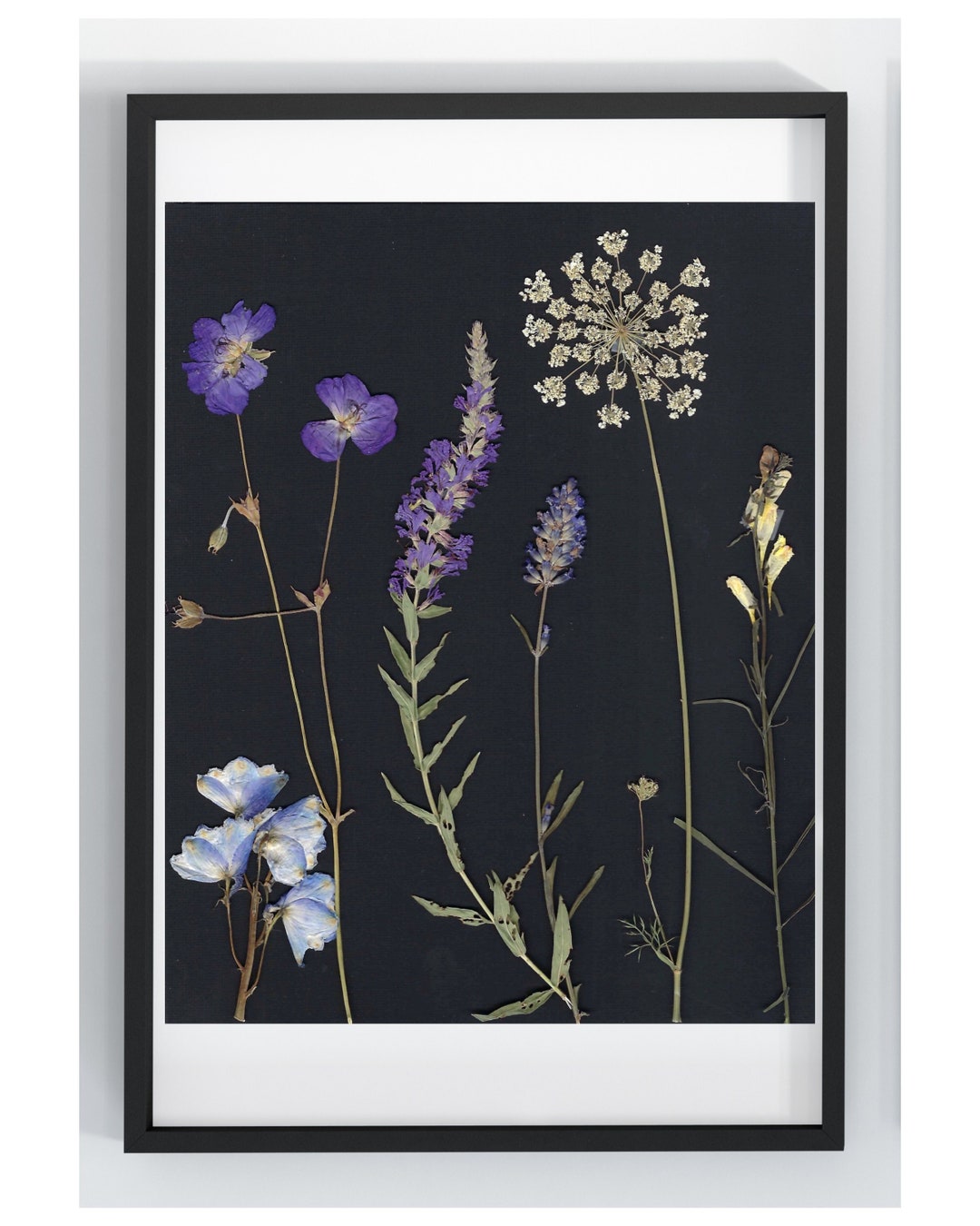 Purple Flowers Over Black Background - Etsy