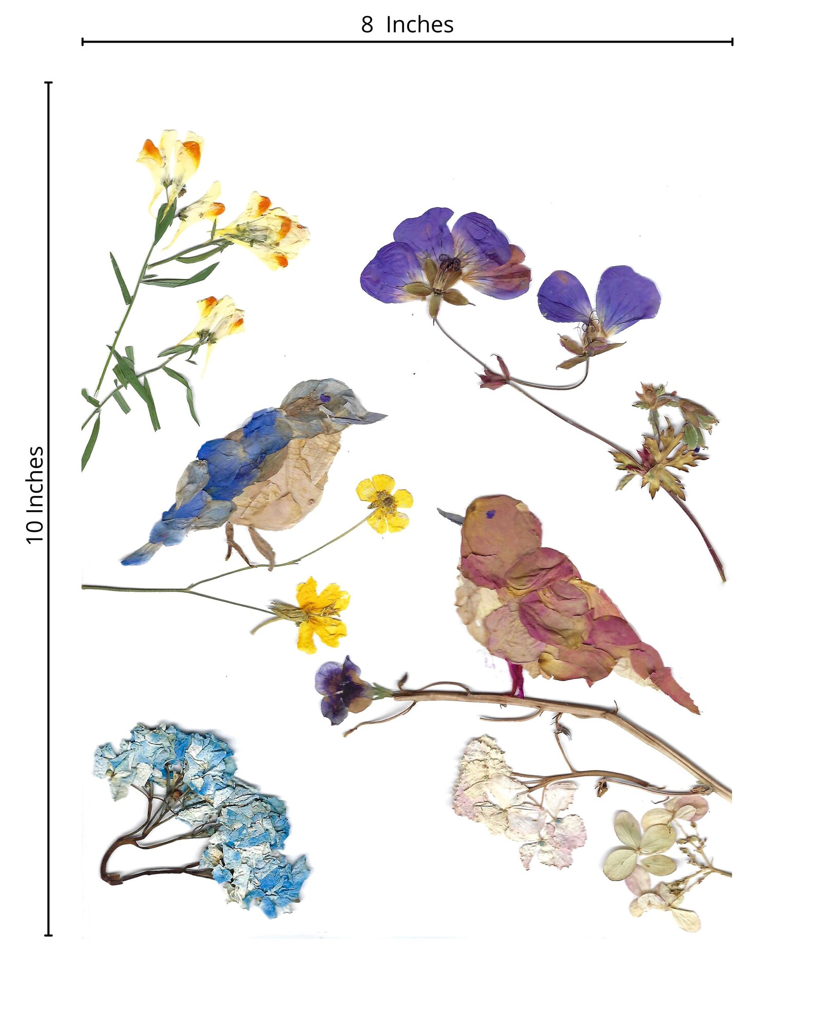 Birds Print, Bird Gifts, Pressed Flower Art Print - Etsy