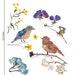 Birds Print, Bird Gifts, Pressed Flower Art Print - Etsy