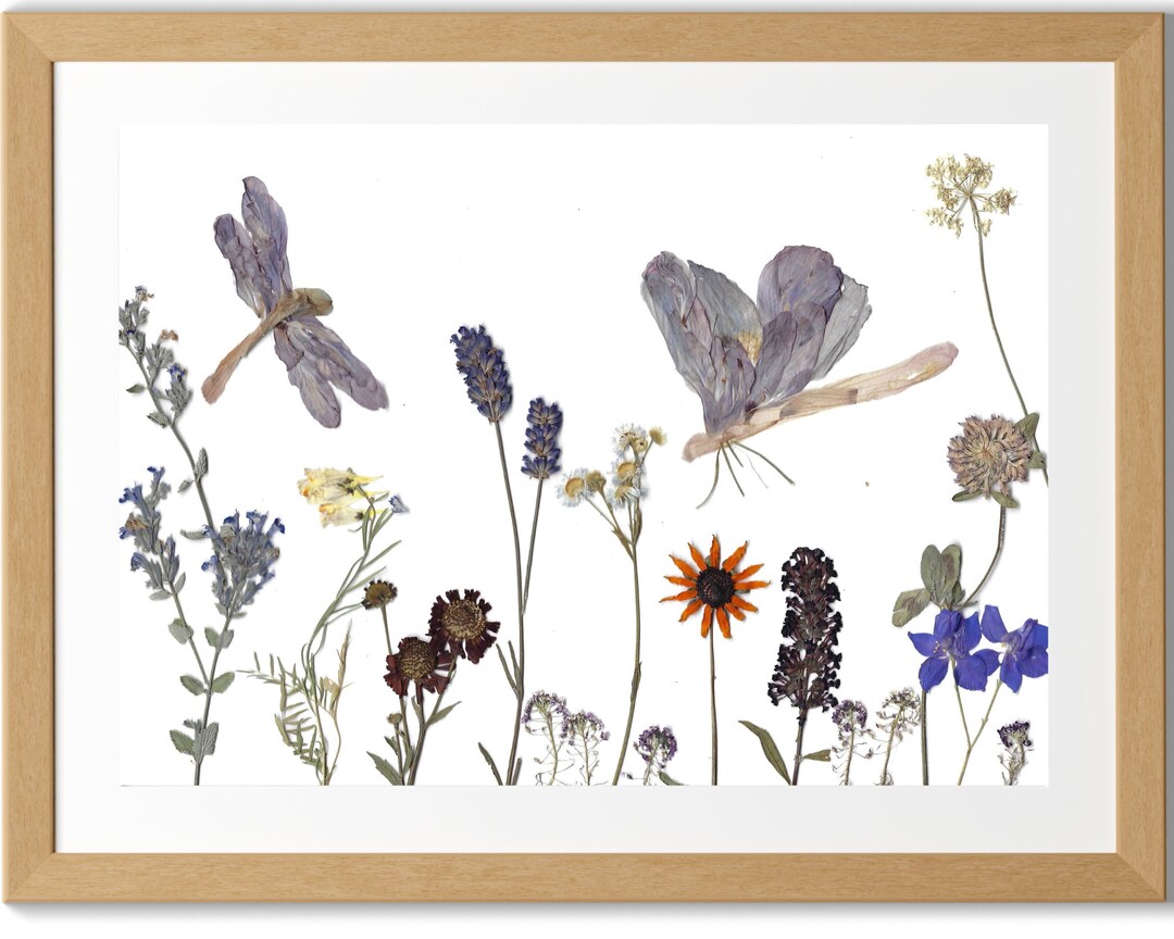 Dragonflies Pressed Flower Art - Etsy