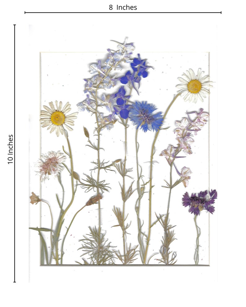 Pressed Flower Art | Pressed Flower Print - Etsy