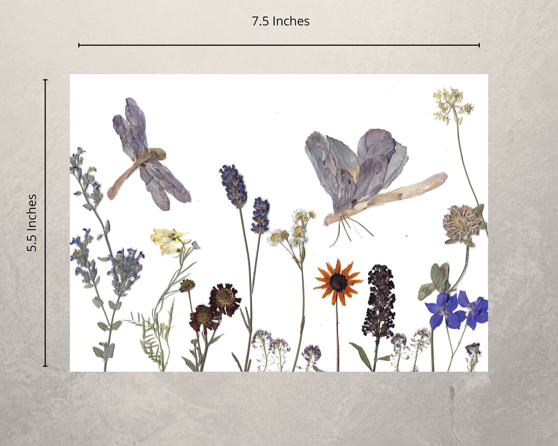 Dragonflies Pressed Flower Art - Etsy