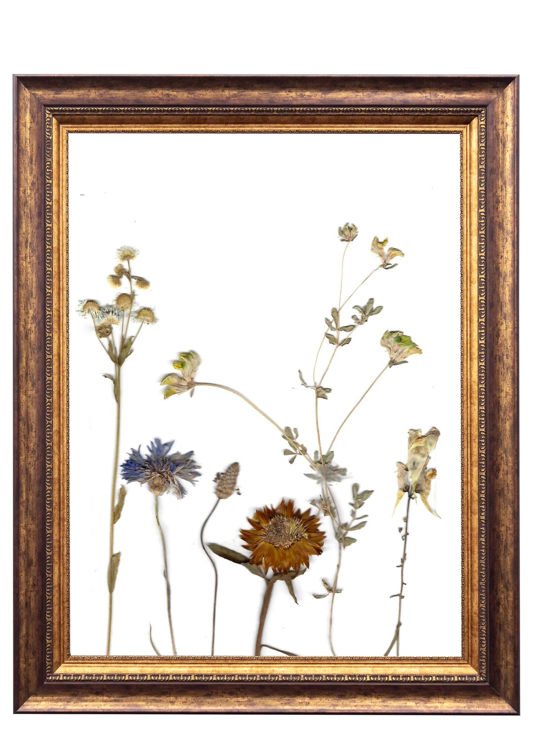 Pressed Flower Art Print | Pressed Flower Art| - Etsy