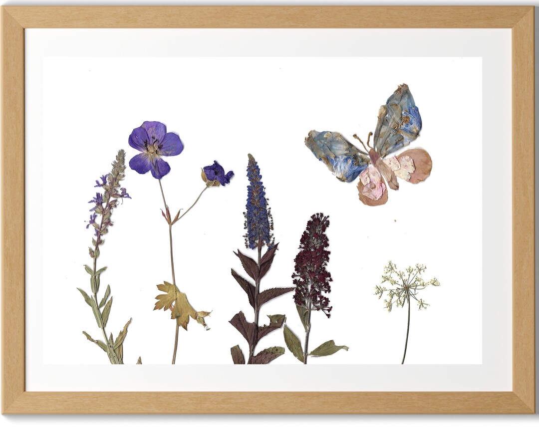 One Butterfly, Butterly Gift, Butterfly Pressed Flower Art - Etsy