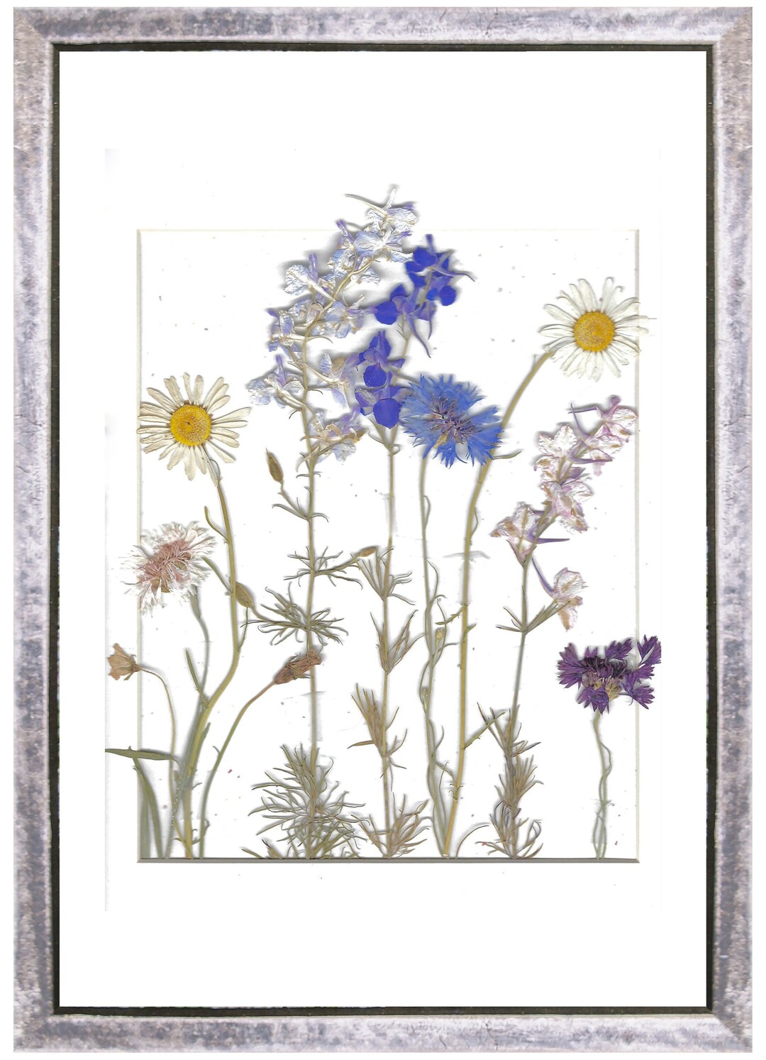 Pressed Flower Art | Pressed Flower Print - Etsy