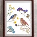 Birds Print, Bird Gifts, Pressed Flower Art Print - Etsy