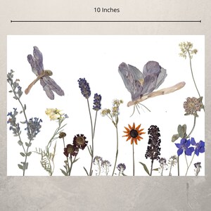 Dragonflies Pressed Flower Art - Etsy