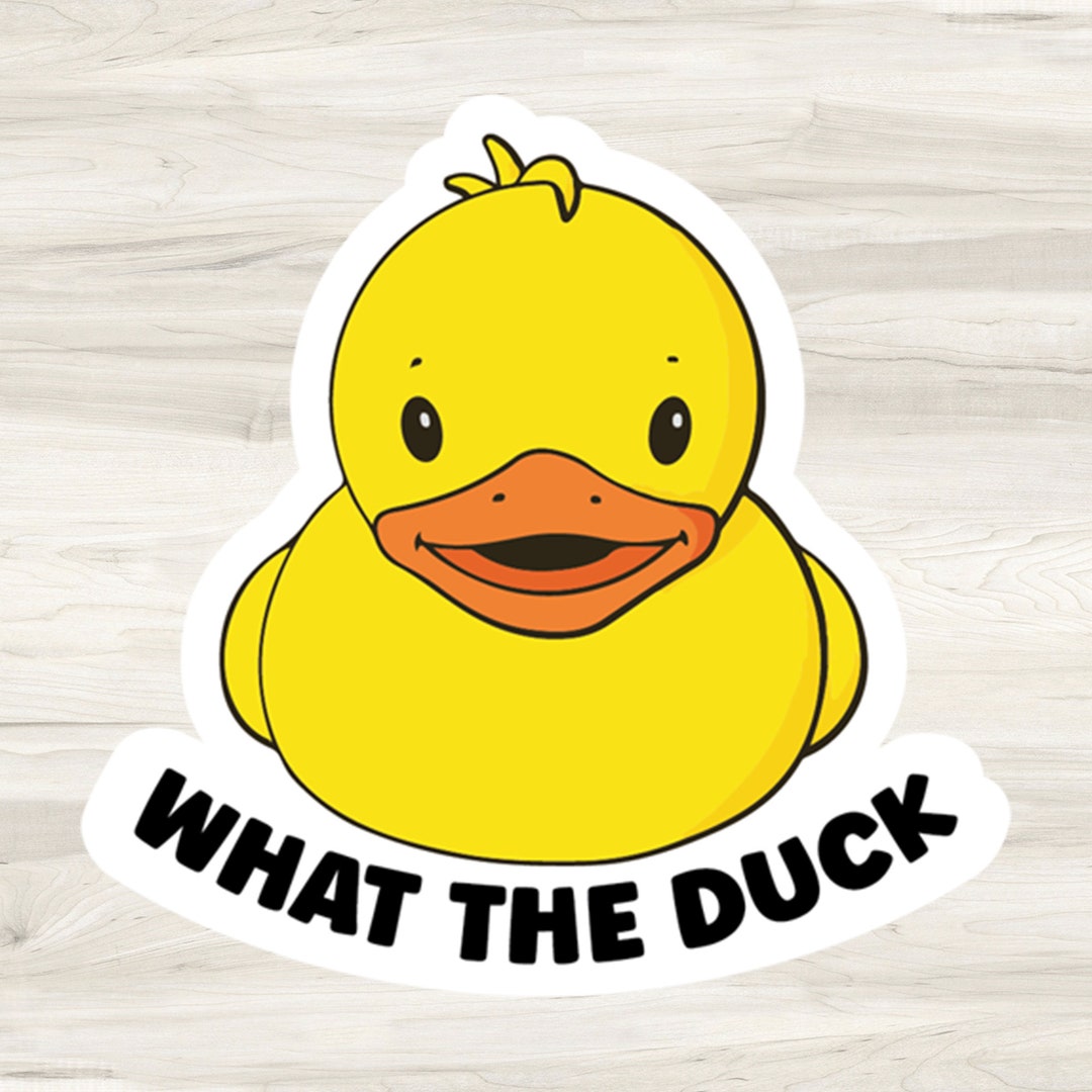 What the Duck Sticker Water Bottle Sticker Flower Sticker Notebook ...