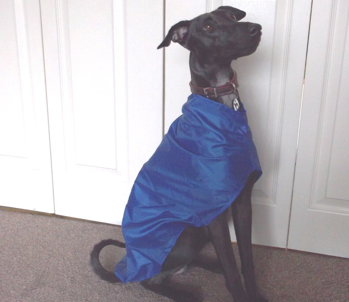Whippet Showerproof/ Rain Coat ~ Royal Blue or Red Ripstop Fabric ~ Pac ...