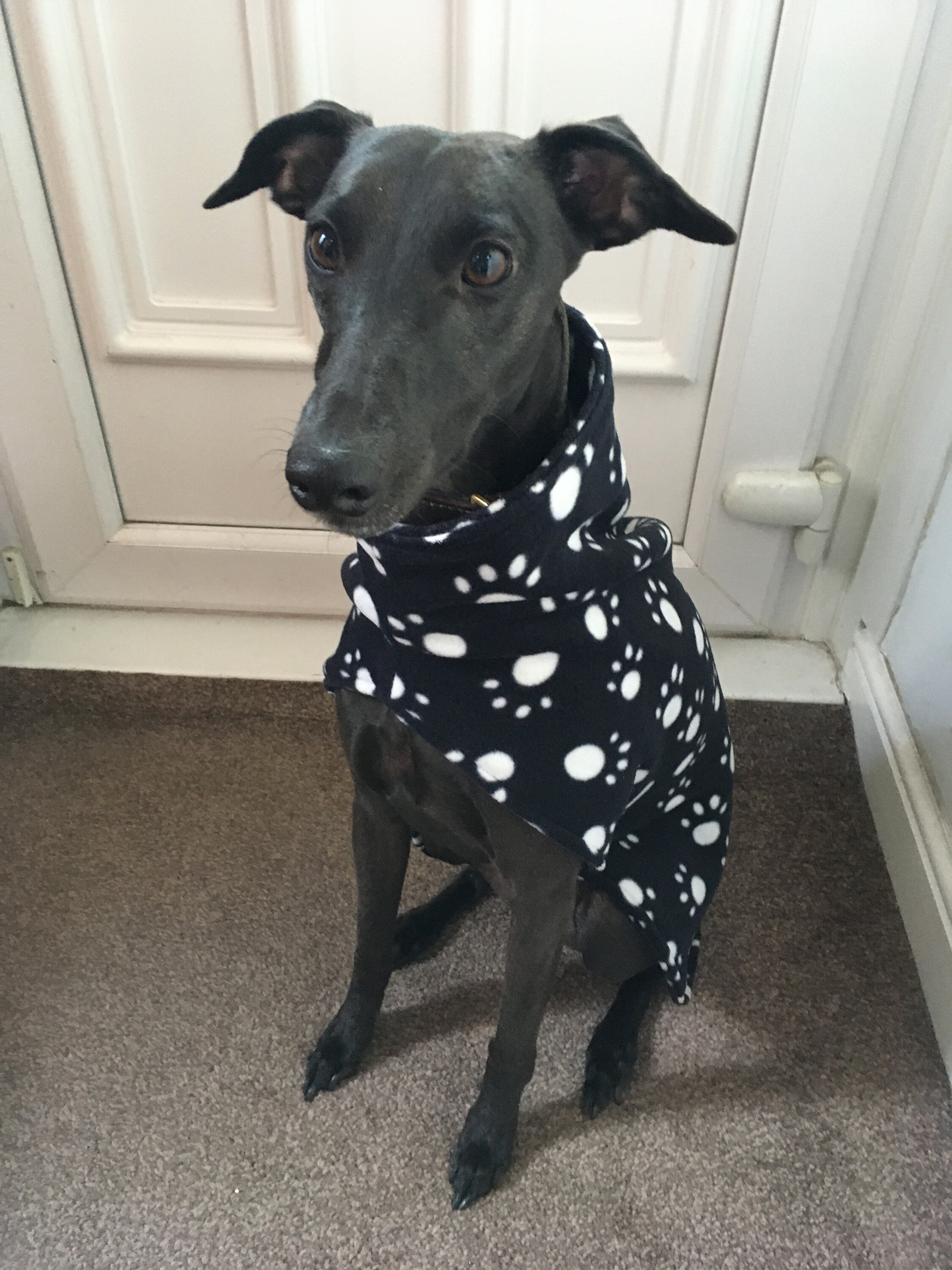 Whippet Fleece Dog Coat/jacket ~ Thick/warm ~ Various Pattern Fleece ...