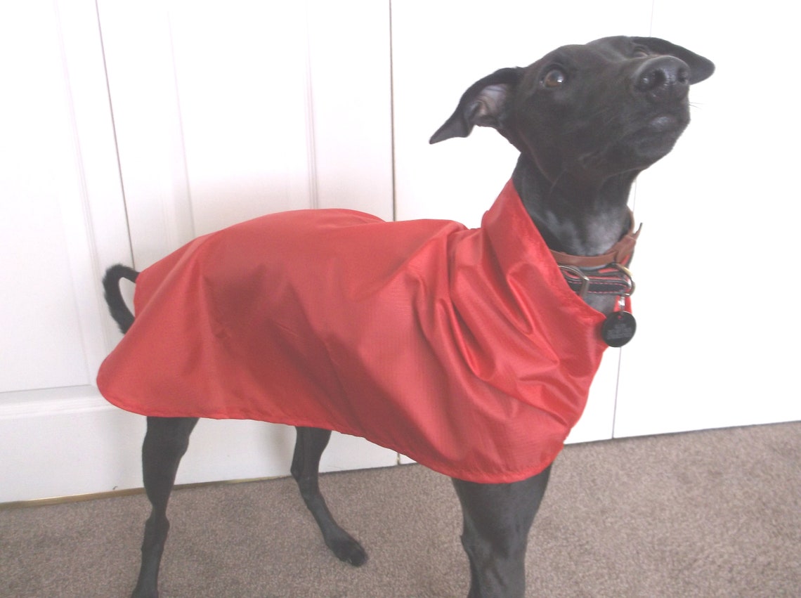 Whippet Showerproof/ Rain Coat ~ Royal Blue or Red Ripstop Fabric ~ Pac ...