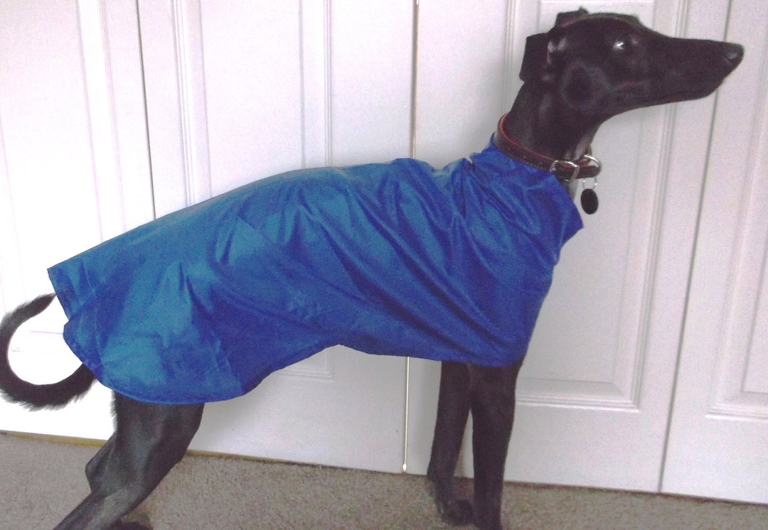 Whippet Showerproof/ Rain Coat ~ Royal Blue or Red Ripstop Fabric ~ Pac ...