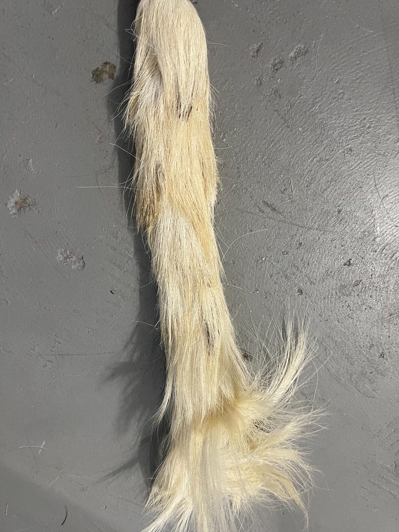 African White Irukere Cow Tail for All Occasions White - Etsy
