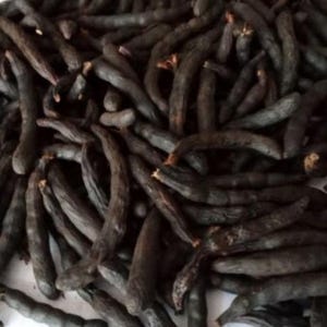 Negro Pepper, Uda/african Black Pepper/peppercorn/ Aethiopica, Selim ...