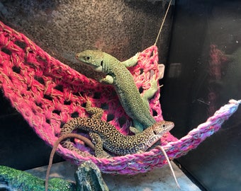 Lounge lizard | Etsy