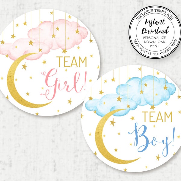 Team Boy Team Girl Stickers - Etsy