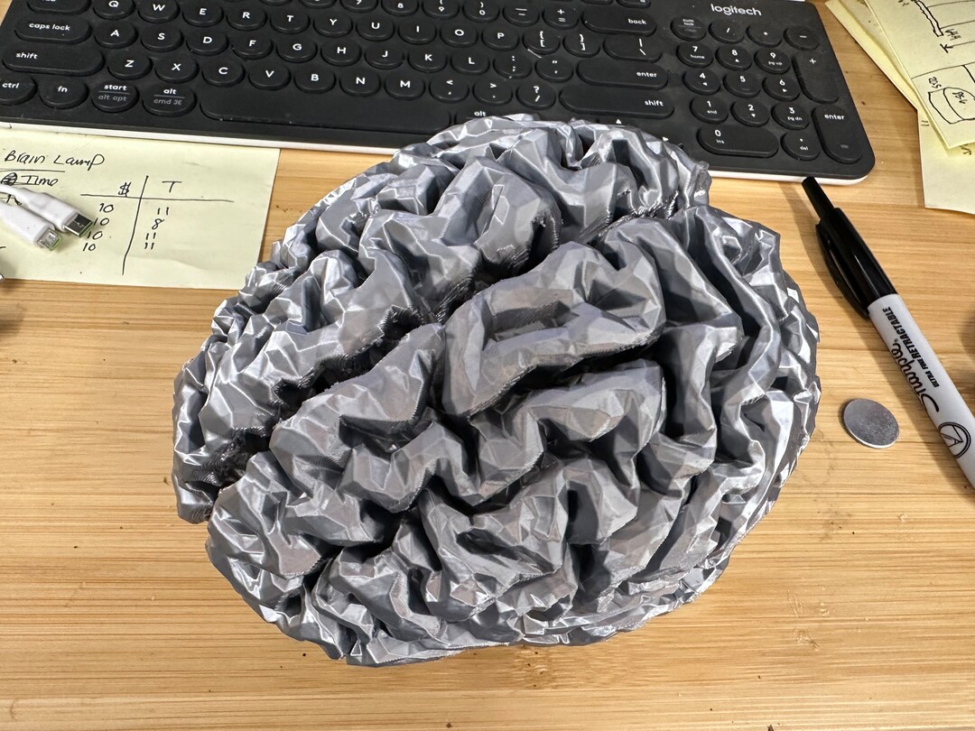 Life-size 3D Printed Brain – Realistic Anatomical Model - Etsy