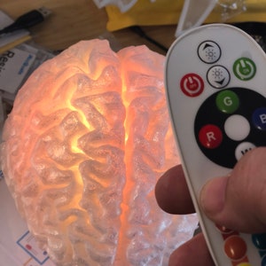 3D Printed Brain Lamp – Unique Anatomical Light From Brain Scan - Etsy