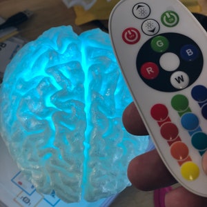 3D Printed Brain Lamp – Unique Anatomical Light From Brain Scan - Etsy