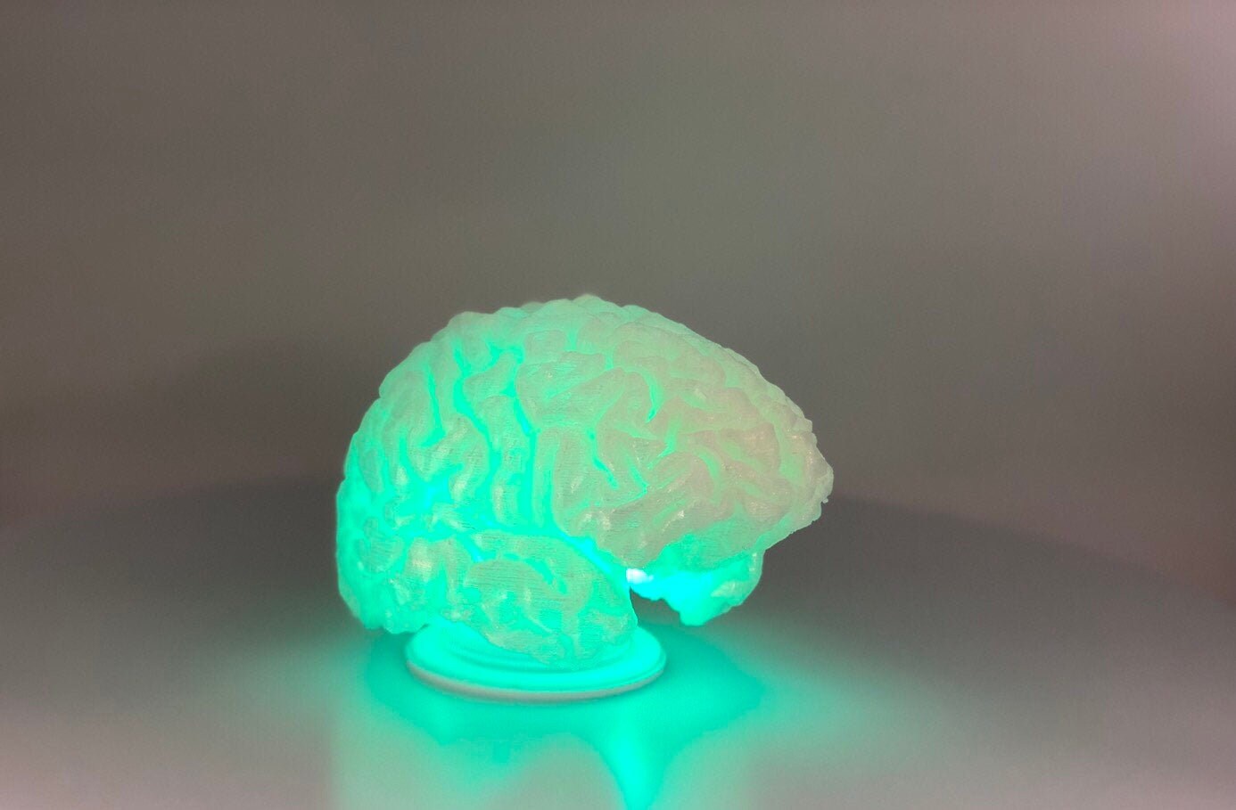 3D Printed Brain Lamp – Unique Anatomical Light From Brain Scan - Etsy