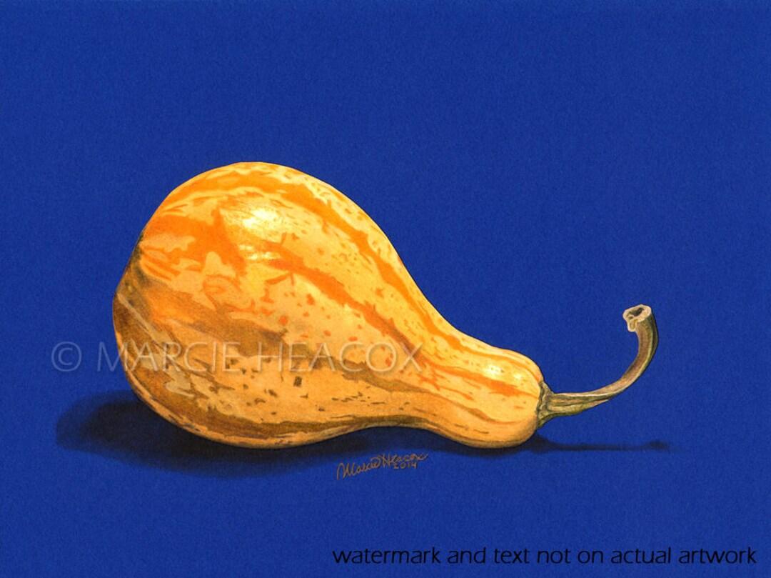 Blue and Gold Squash 2 Original Colored Pencil Drawing by - Etsy