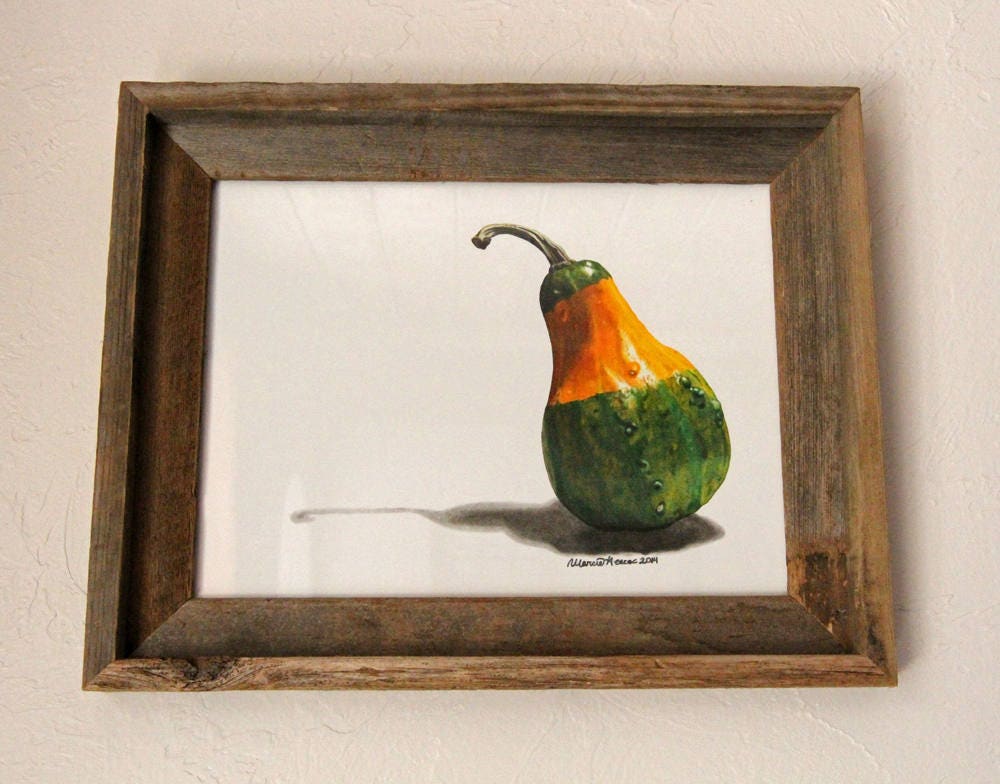 Squash Shadow Original Colored Pencil Drawing by Marcie Heacox 9 x 12 ...