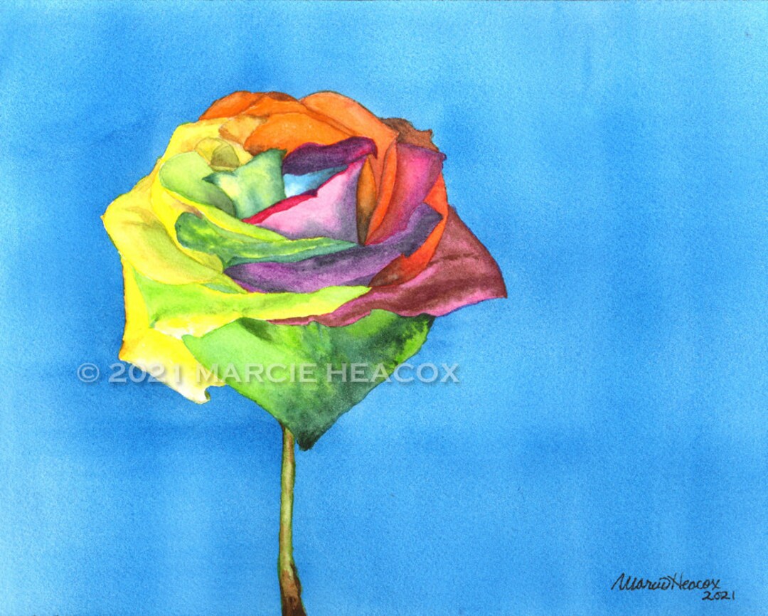 Rainbow Rose - Original Watercolor Painting by Marcie Heacox 8" X 10 ...