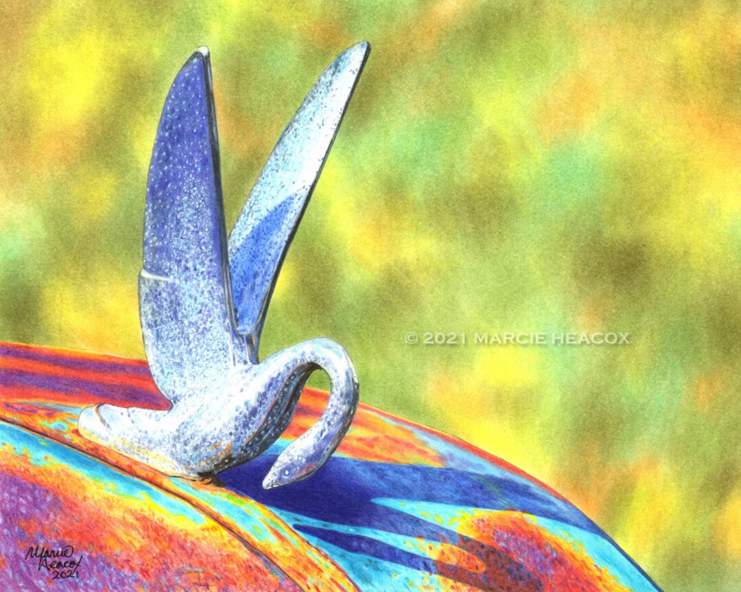 The Swan Original Colored Pencil and Pastel Drawing by Marcie Heacox ...