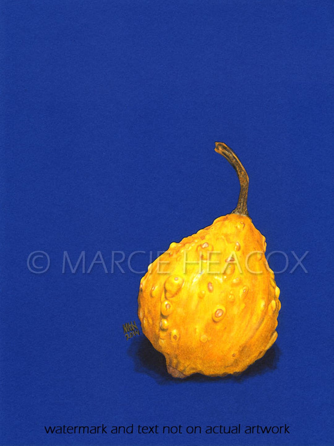 Blue and Gold Squash 1 Original Colored Pencil Drawing by Marcie Heacox ...