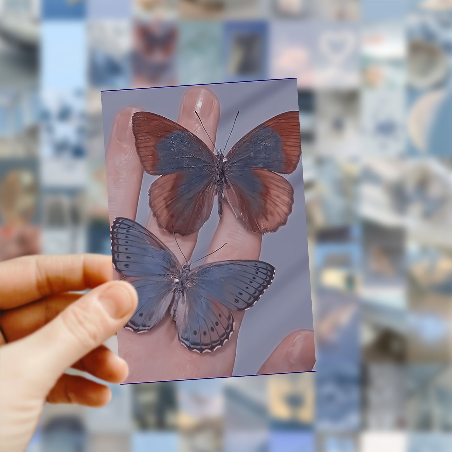 Dreamy Blue Wall Collage Kit Blue Wall Collage Photo Wall - Etsy