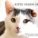 Kitty Moon Sky - Etsy