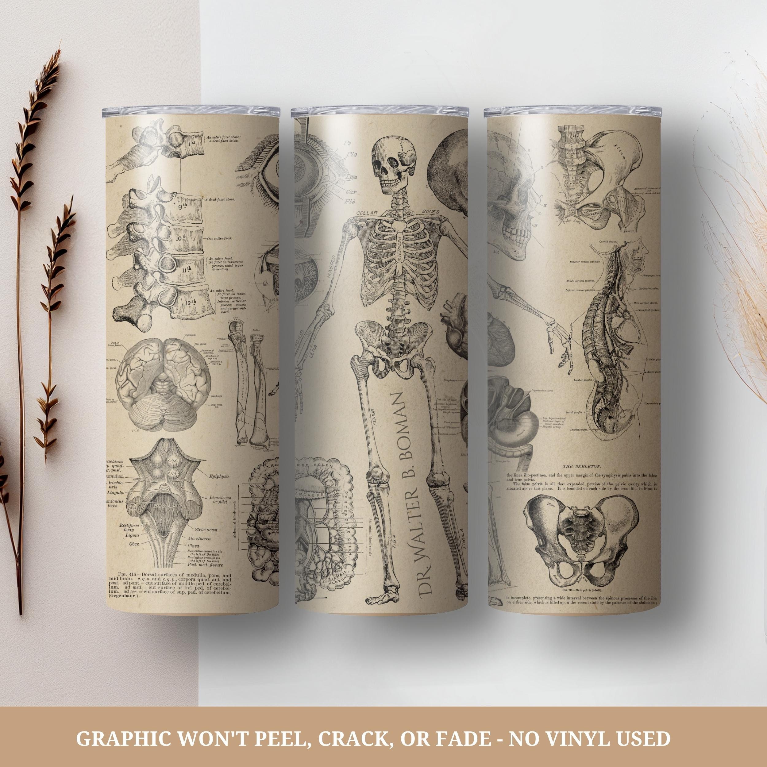 Personalized Skeleton Tumbler Retro Skeleton Cup for - Etsy