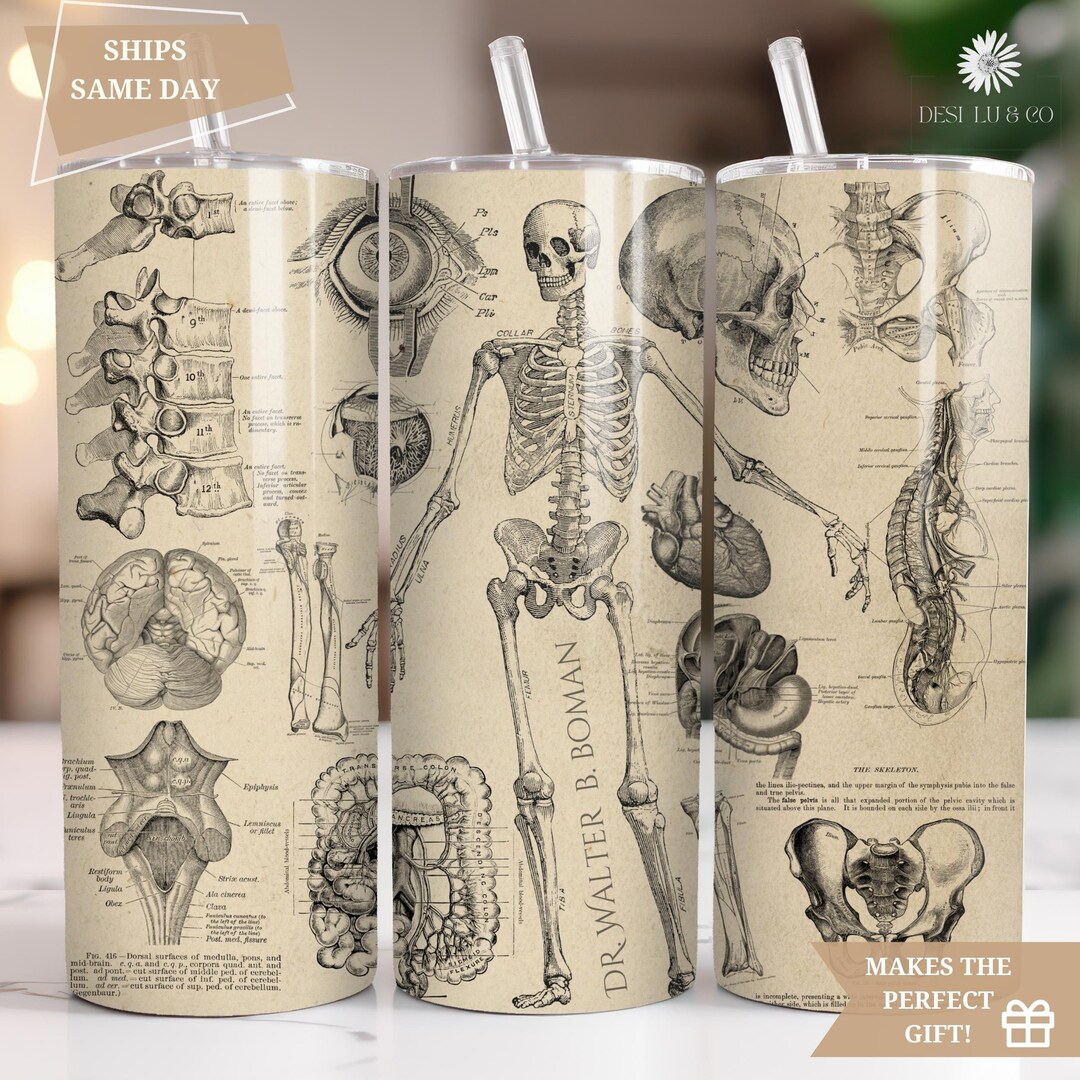 Personalized Skeleton Tumbler, Retro Skeleton Cup for Halloween Gift ...