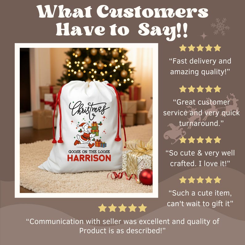 Silly Christmas Goose Santa Bag Personalized Santa's Favorite Silly ...