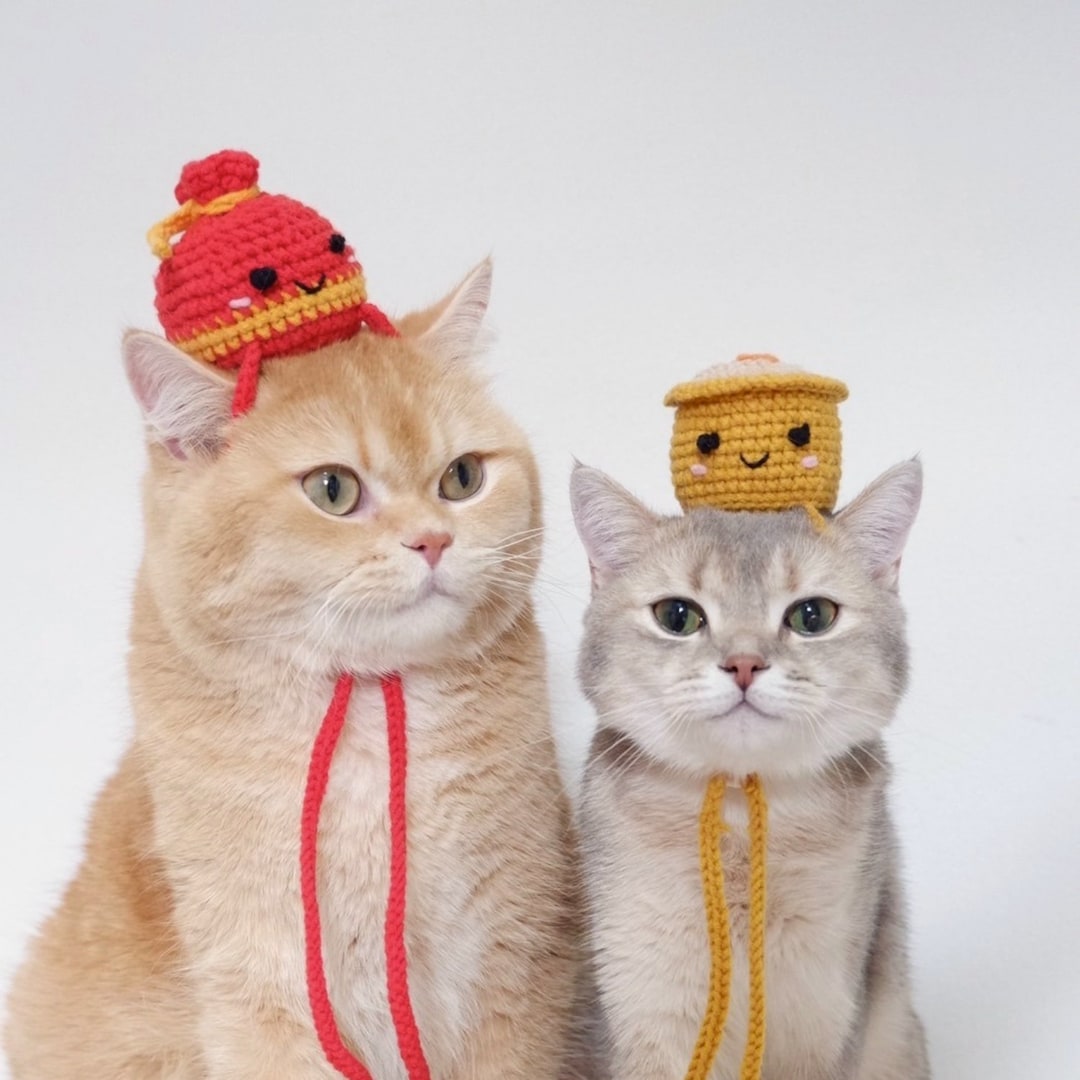 Chinese Hat for Pet.hat for Cat and Small Dog.handmade Crochet Pet Hats ...