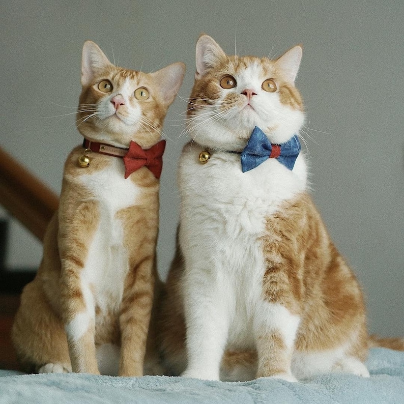 Merry Collar Ruby Red Bow Ties for Cats Handmade Safety | Etsy