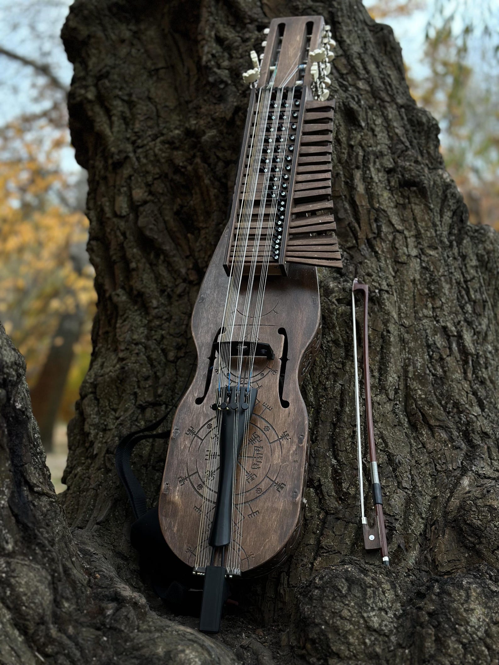 The 6 Best Nyckelharpa 2025 - Muzeap Buyer's Guide
