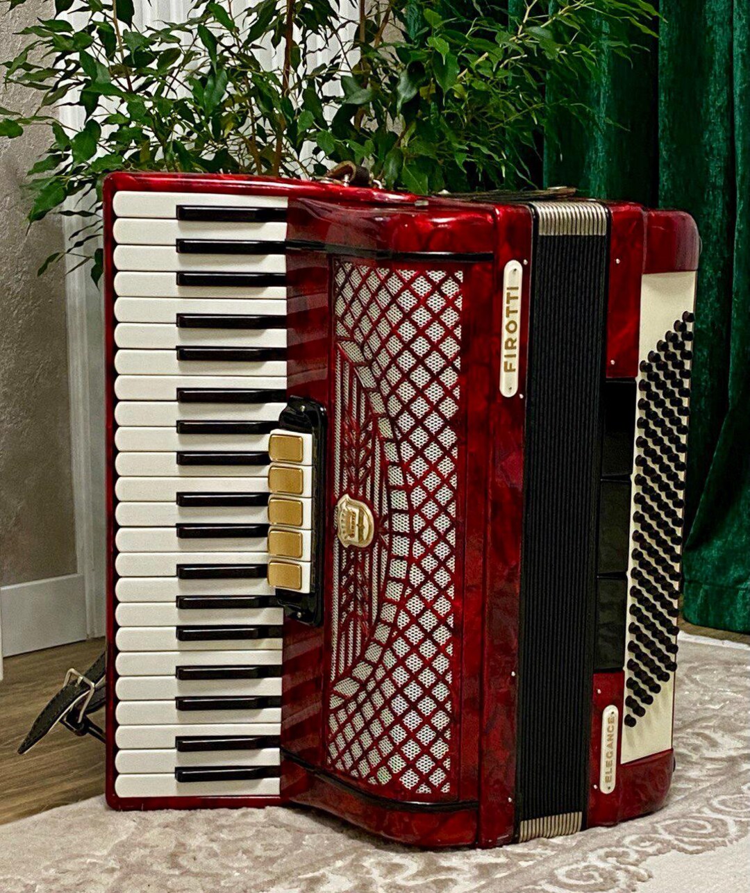 Firotti Elegance Accordion, Concert Piano Accordion 120 Bass, Made in ...