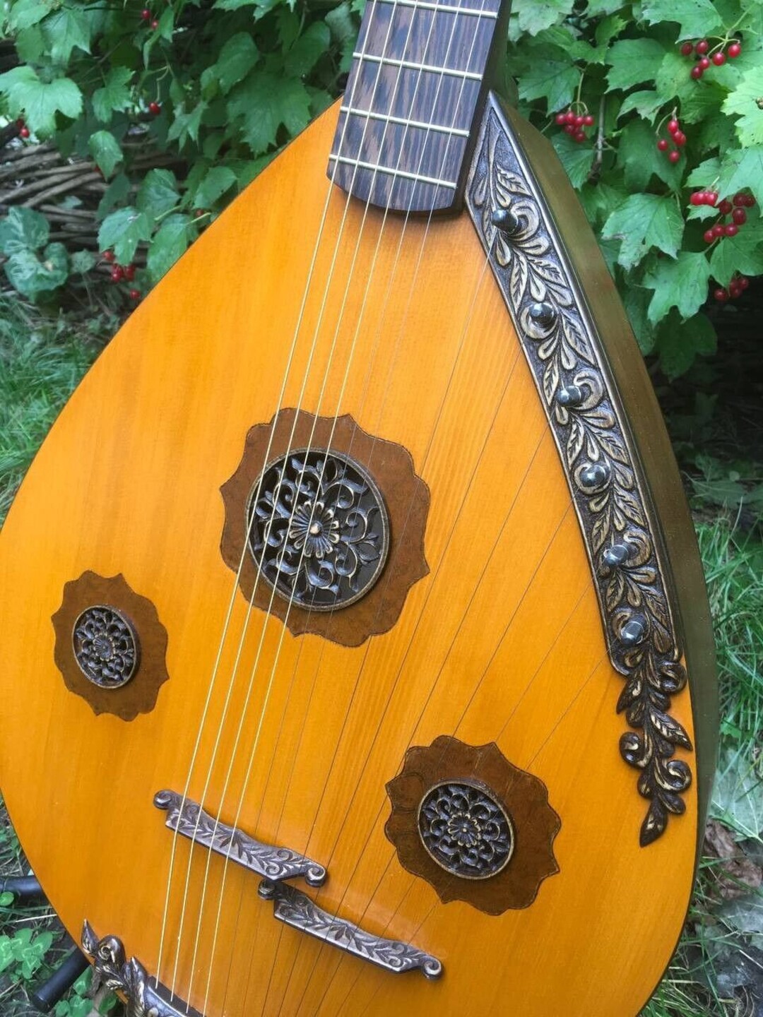 Amazing Kobza 12 String Vihuela Ukraine Lute Folk Guitar - Etsy