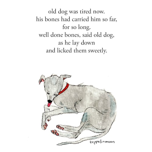 Old Dog Signed Print by Zeppelinmoon - Etsy