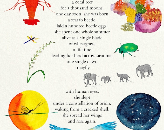 Under Orion Signed Print by Zeppelinmoon - Etsy UK