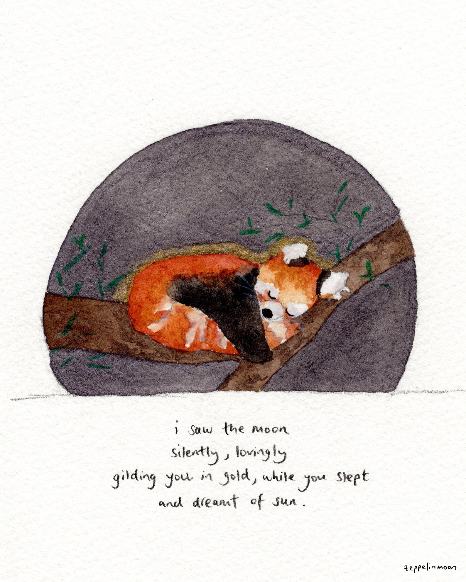 Red Panda Moon - Signed Print by Zeppelinmoon - Etsy
