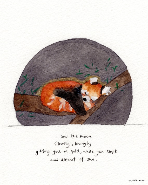 Red Panda Moon Signed Print by Zeppelinmoon - Etsy