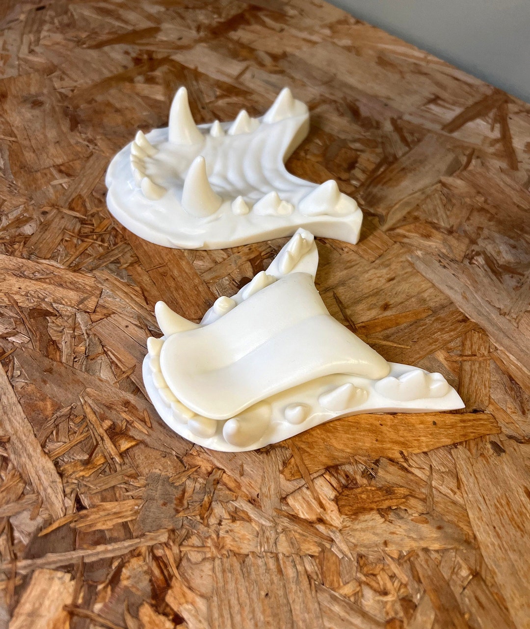 Resin Printed Canine Jaw Set - Etsy