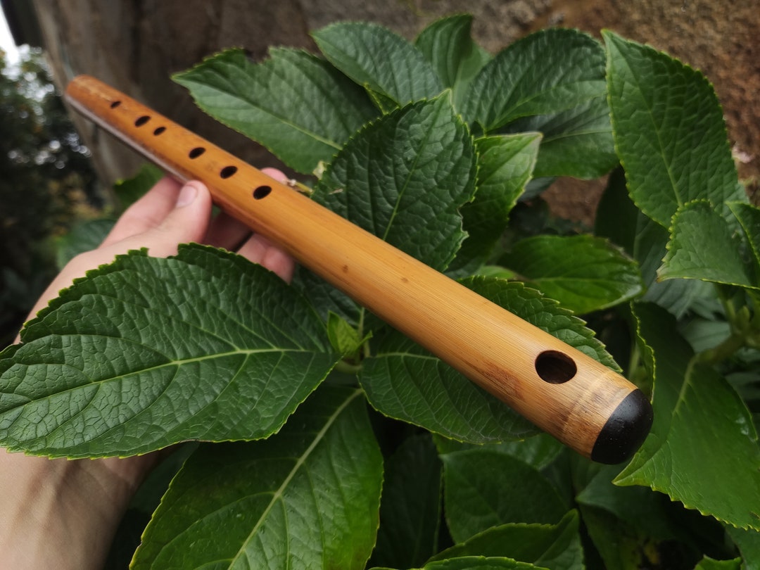 A Major Transverse Flute Handmade Out of Bamboo | 6-hole Concert ...