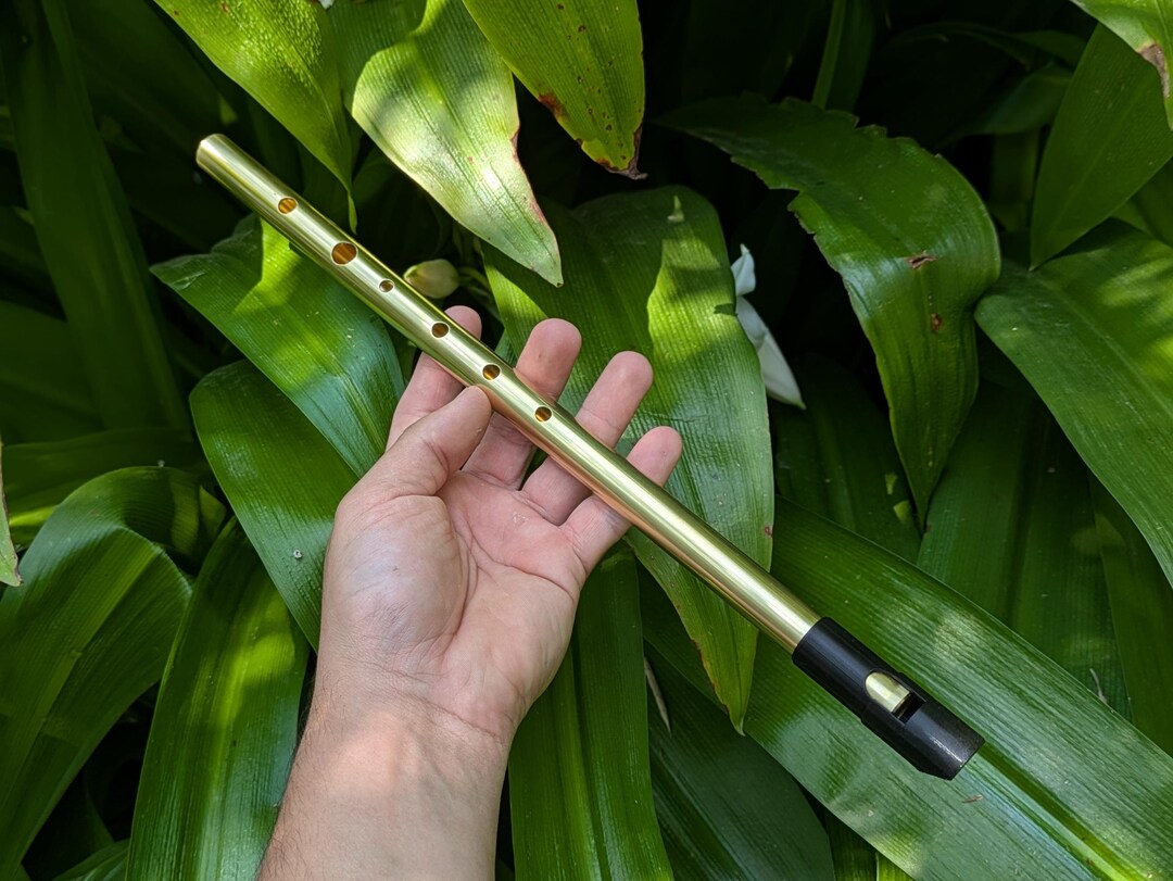 Bb Major Brass Whistle | Handmade Tunable Tin Whistle | Sweet Sound 6 ...